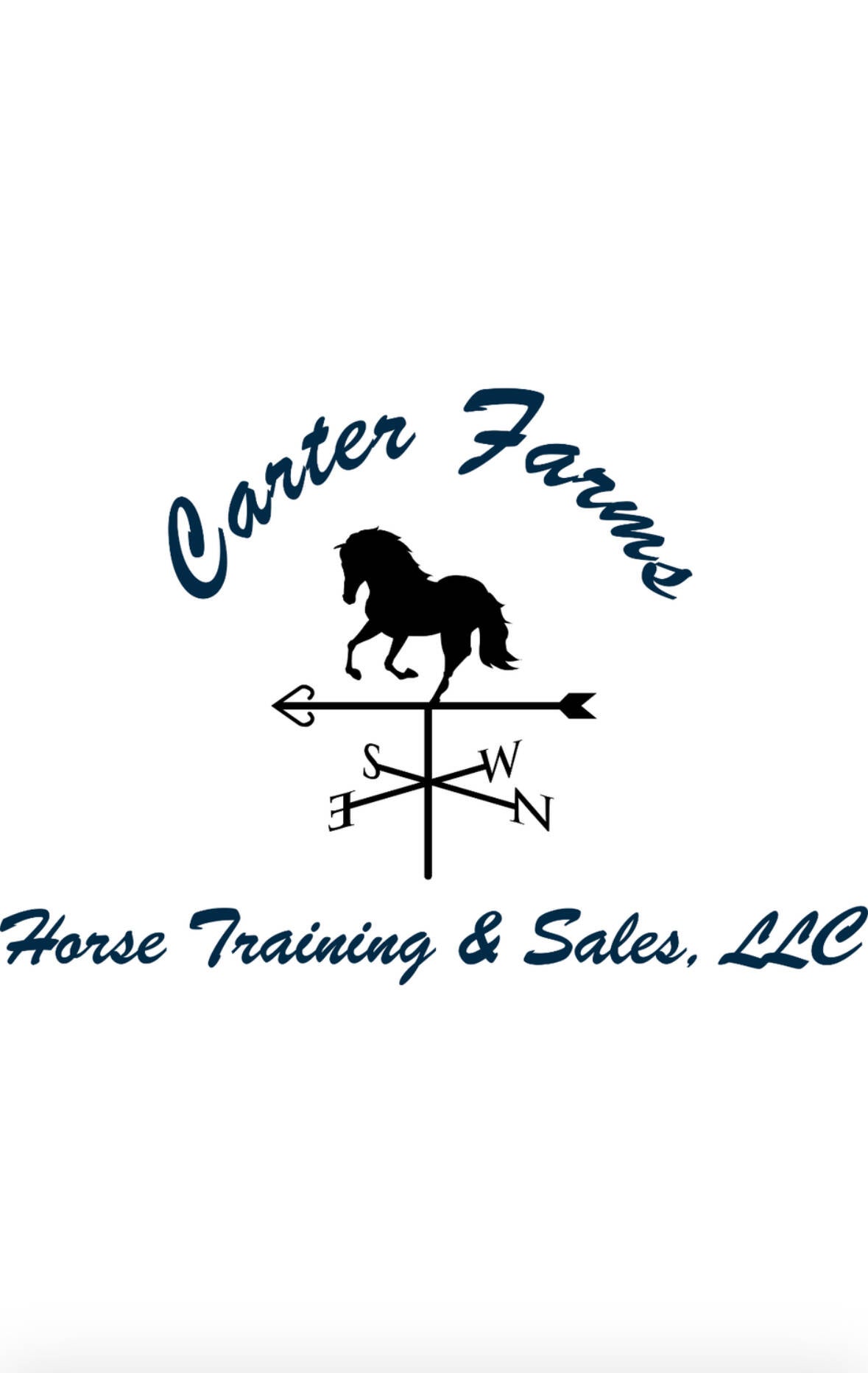 Carter Farms Horse Training & Sales | Carter Farms Horse Sales & Training